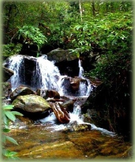 beautiful places in sri lanka : Batadomba lena - Kuruwita