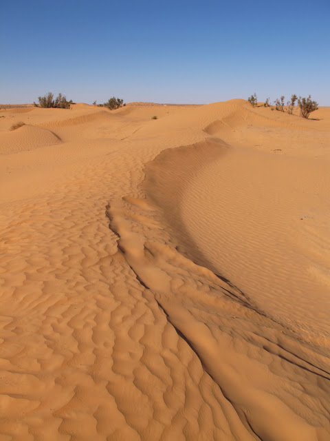 DONDE ANDAN ESTOS: KSAR GHILANE