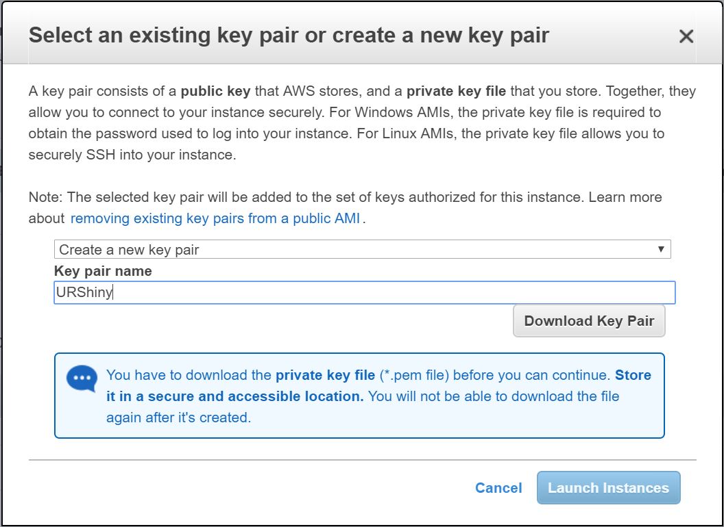 The Technical Bit: Step-by-Step Guide to setup R Shiny Server on AWS