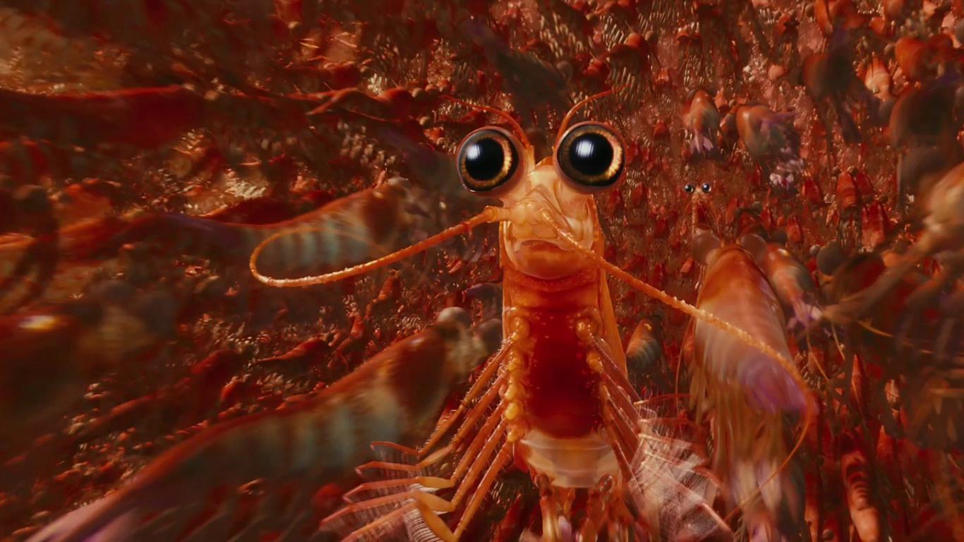 Triumph of a Man Called Da-Da: Happy Krill Day