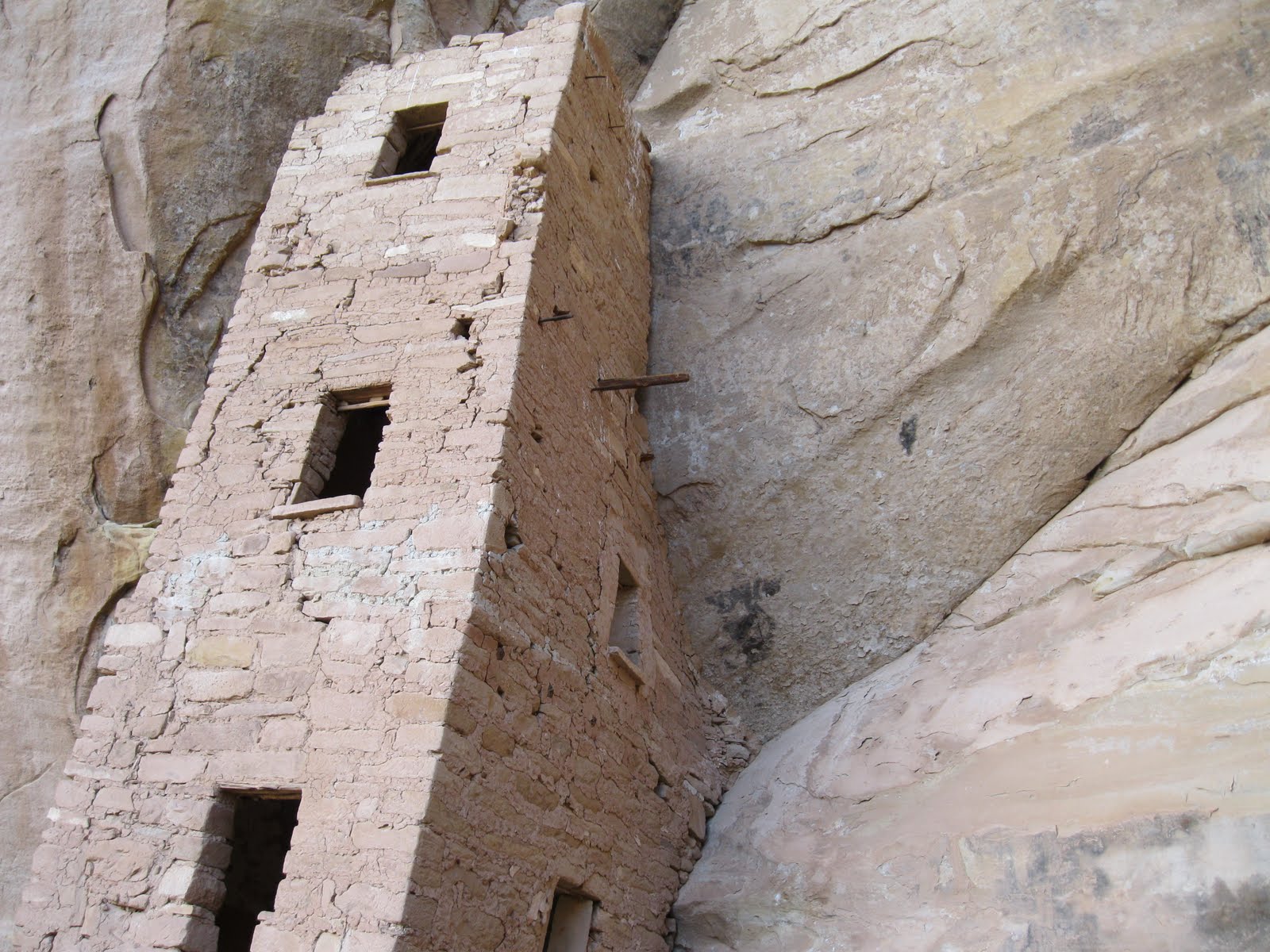 Four Corners Hikes-Mesa Verde: Square Tower House Guided Hike