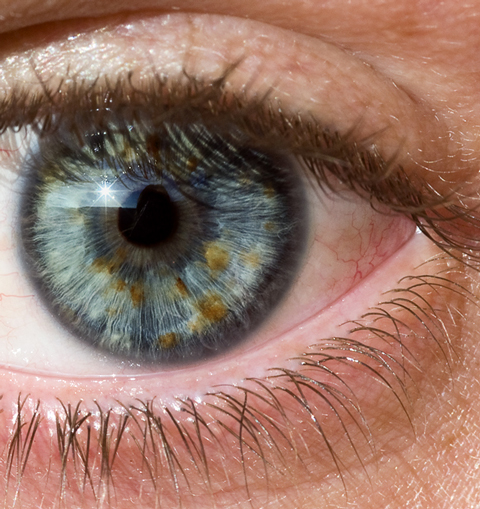 Aprende a leer los ojos | Lenticom