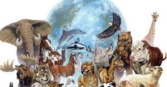 ¿DE DÓNDE VIENE LA IDEA DE LOS ANIMALES DE PODER? LUZGITANA