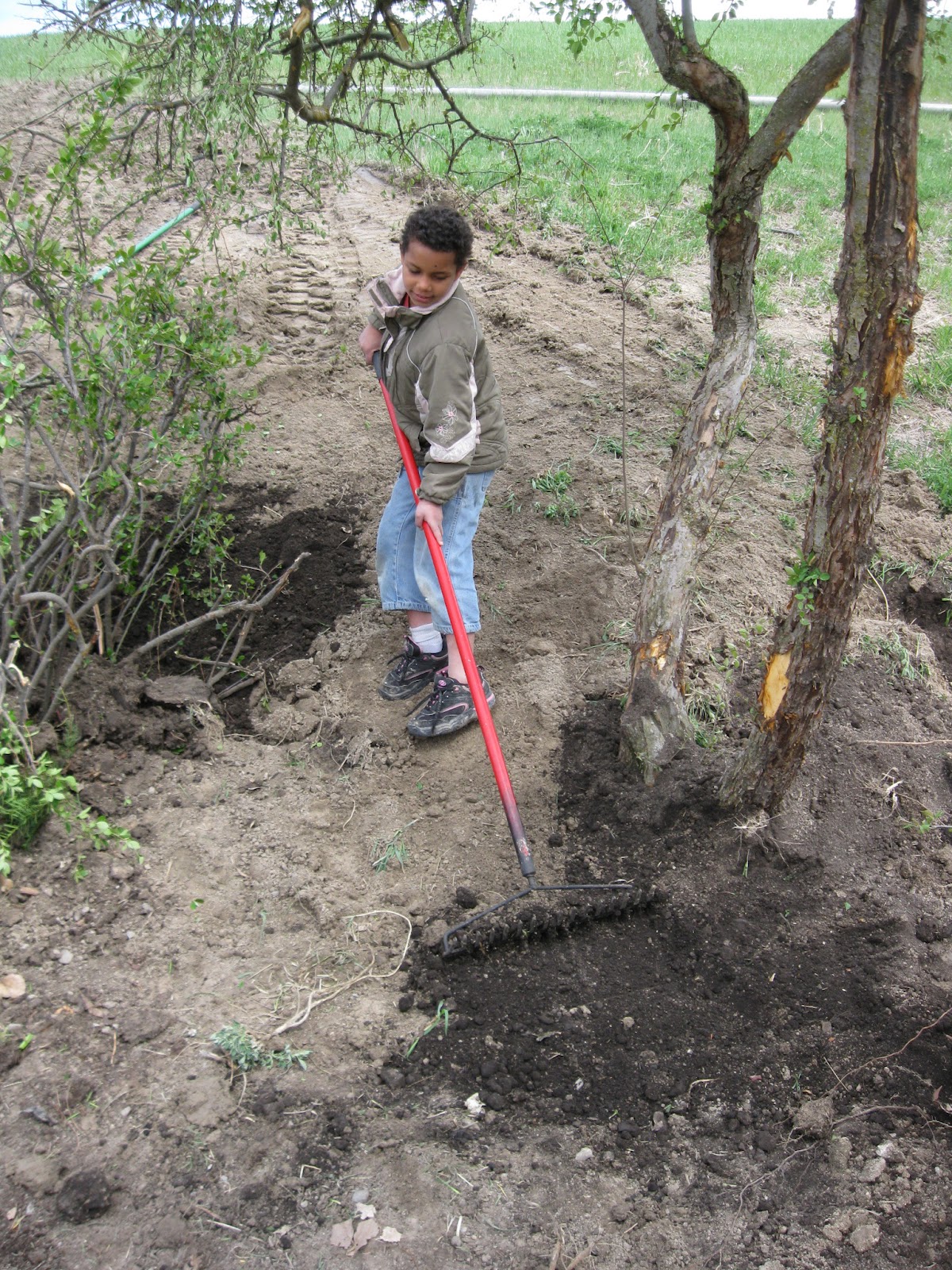 A Little Peace in Paradise: Old Paradise Church – Replanting
