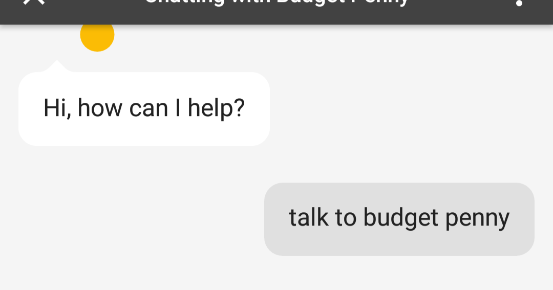 Budget Penny, your budget assistant