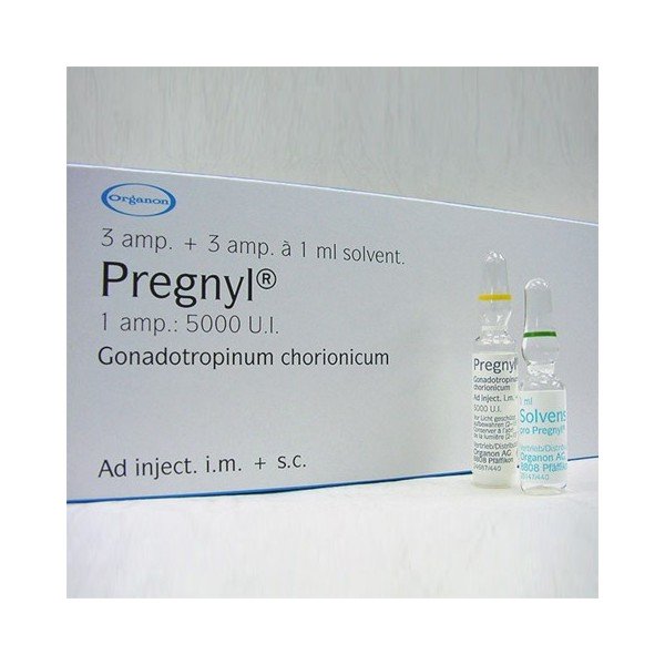 HCG (Pregnyl) Nedir ? | Steroid Bilgi Merkezi