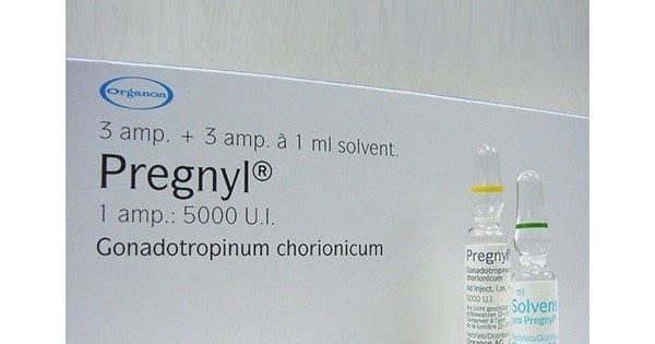 HCG (Pregnyl) Nedir ? | Steroid Bilgi Merkezi