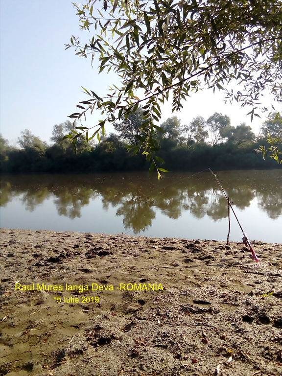 PESCARUL SINGURATIC: La pescuit pe raul Mures,dupa potop