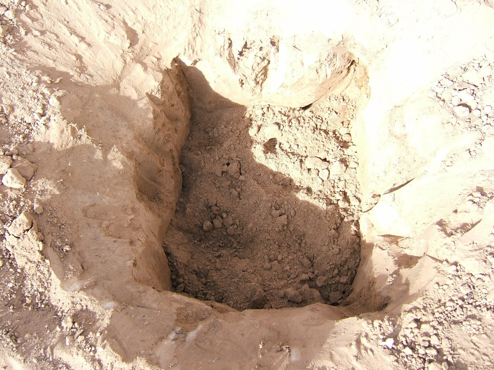 Grafted Fruit Tree Planting Part 1: Dig the Hole!