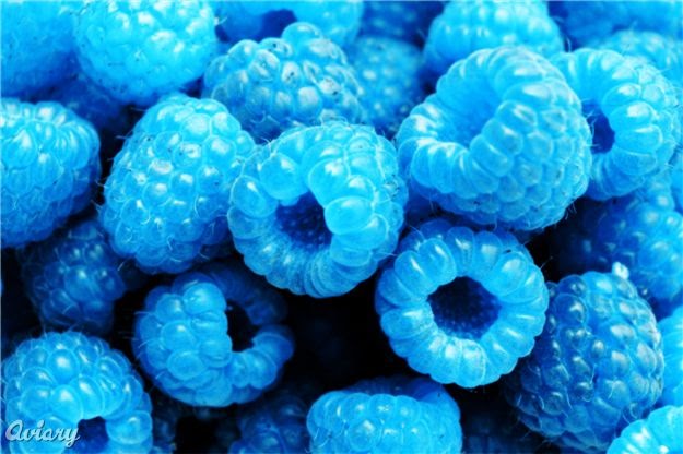 The World As I see It: Is Blue Raspberry a Real Fruit? Where does it ...