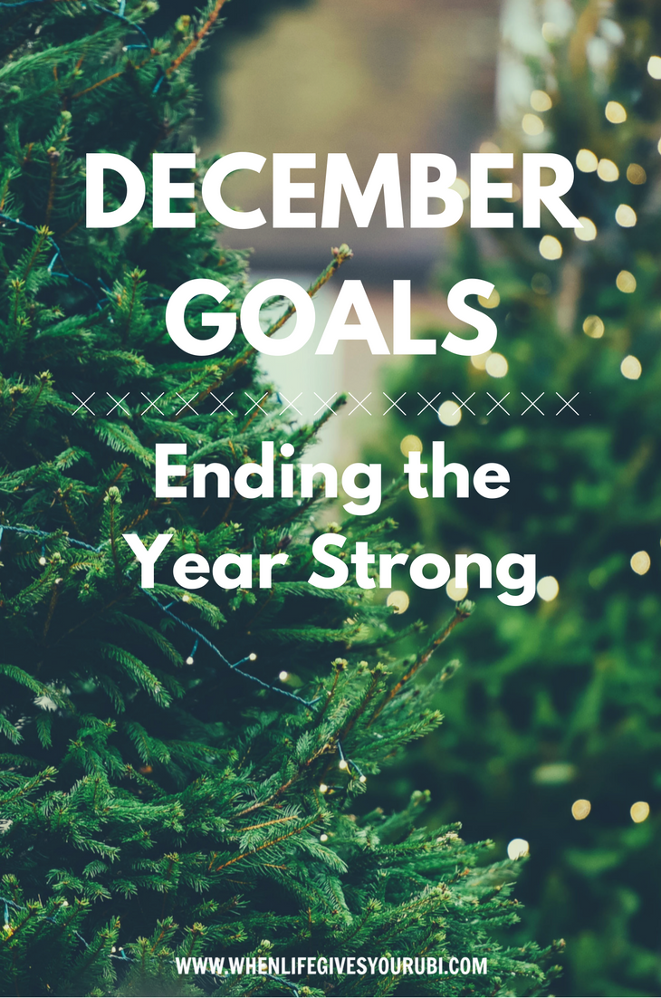 December Goals + Ending the Year Strong | When Life Gives You Rubi
