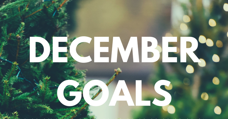 December Goals + Ending the Year Strong | When Life Gives You Rubi
