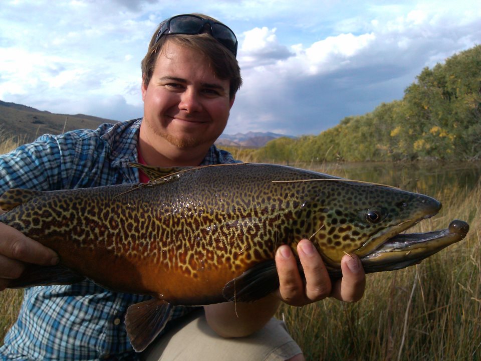 Scott Hopper's blog: MONSTER TIGER TROUT LANDED- LOCATION KEPT SECRET
