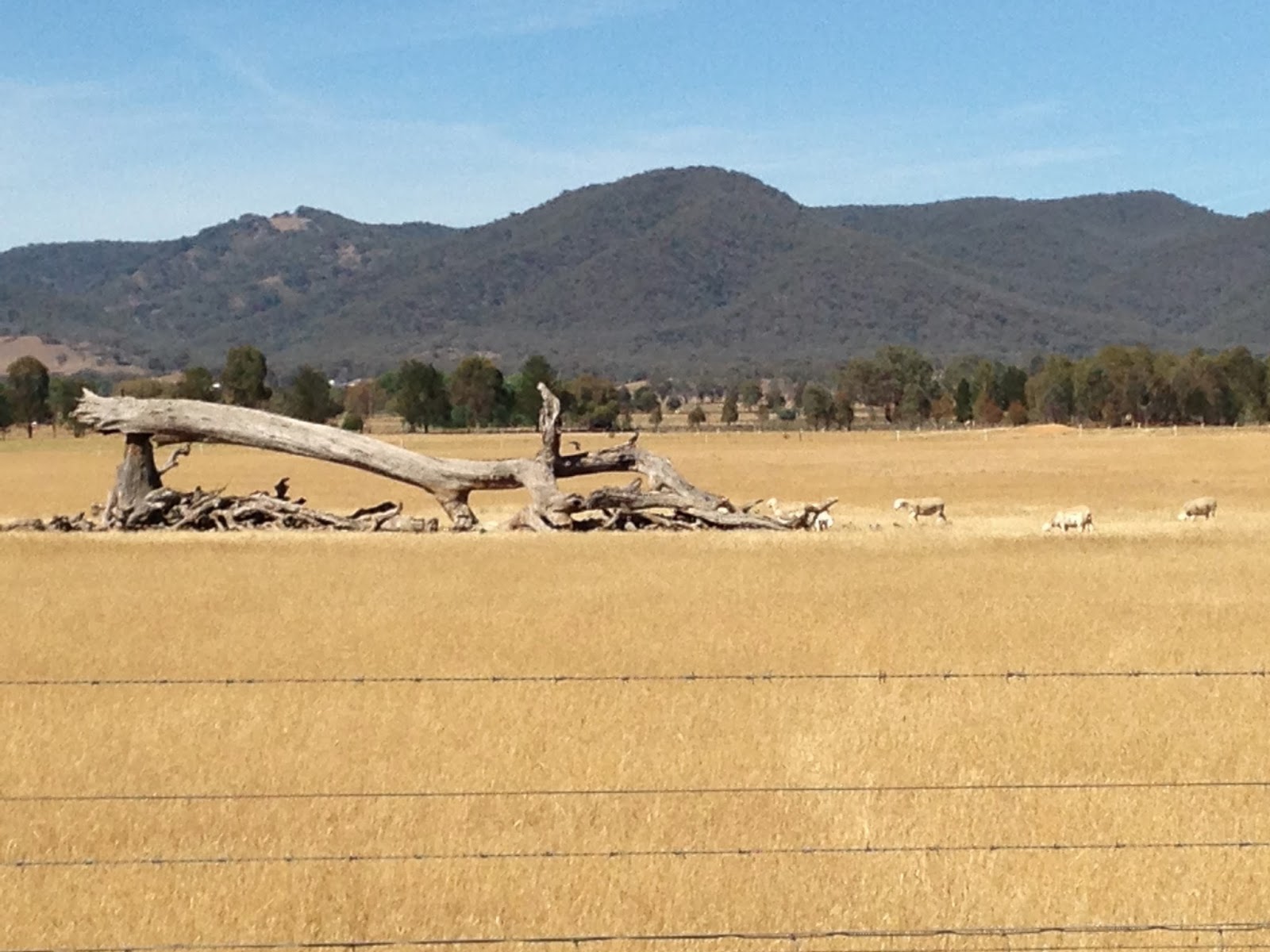 Four Seasons: My Country by Dorothea Mackellar