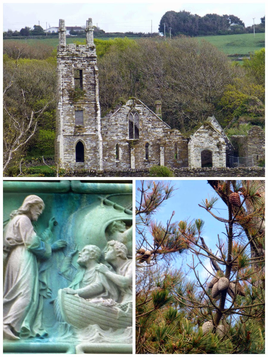 Castlefreke and Rathbarry. The Castles And The Wood