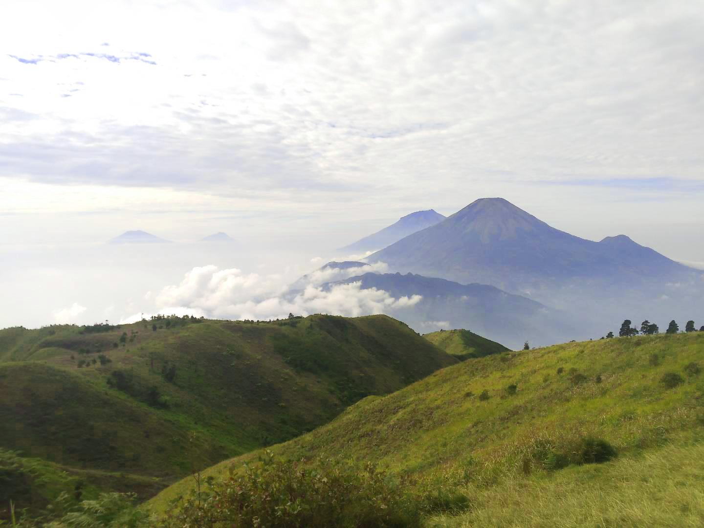 Pendakian Gunung Prau 2.565 mdpl menuju puncak Sunrise - Cerita Lama