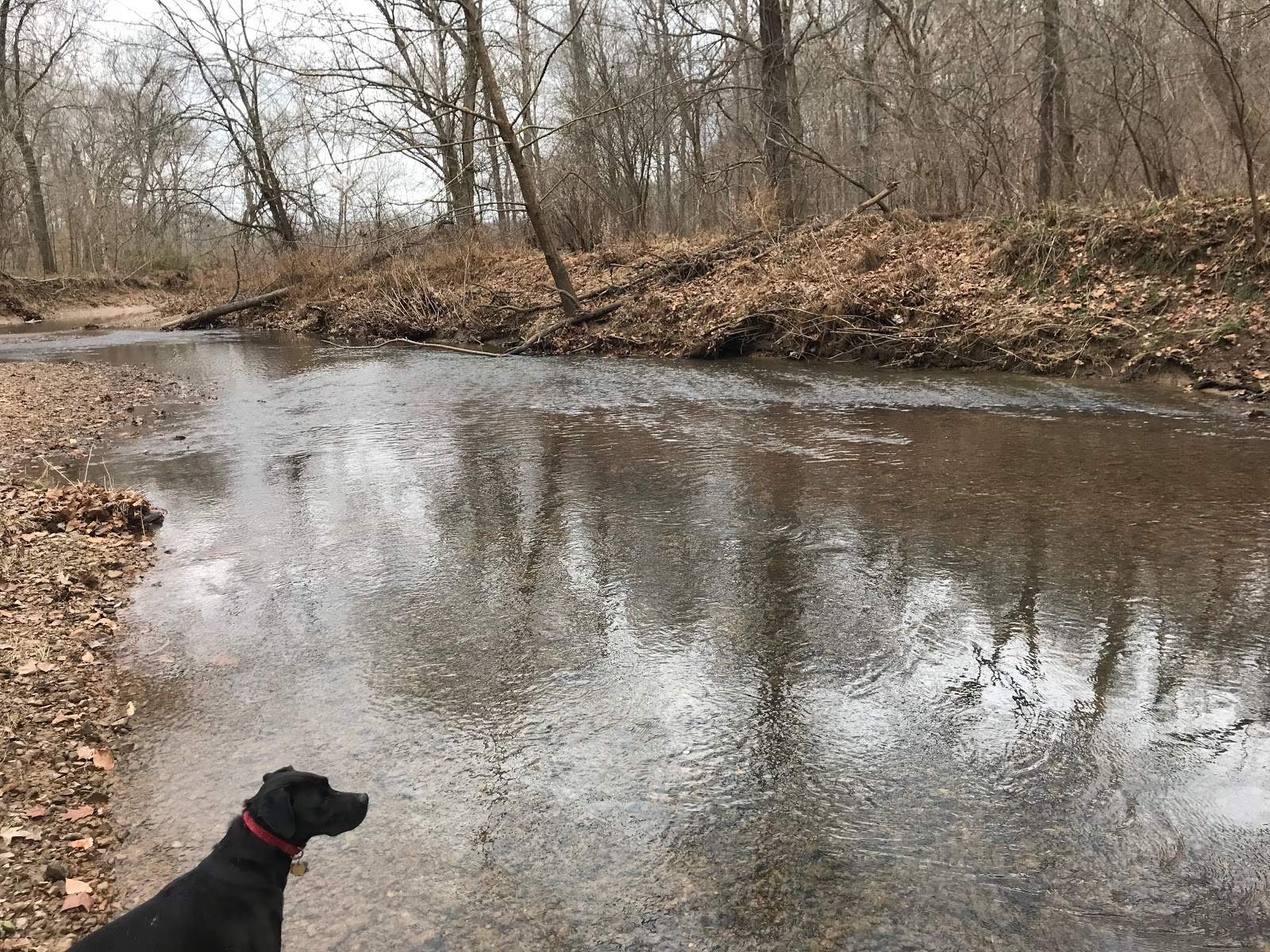 Illinois Botanizer: River to River Trail across southern Illinois Day 1 ...