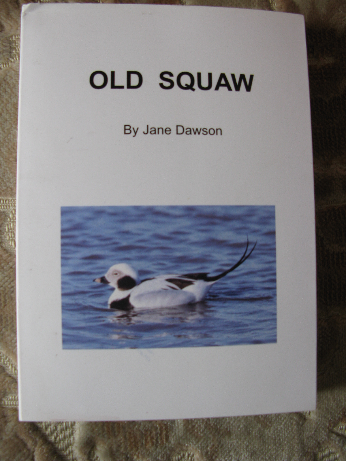 A birding odyssey.: Jane Dawson, Isle of Islay.