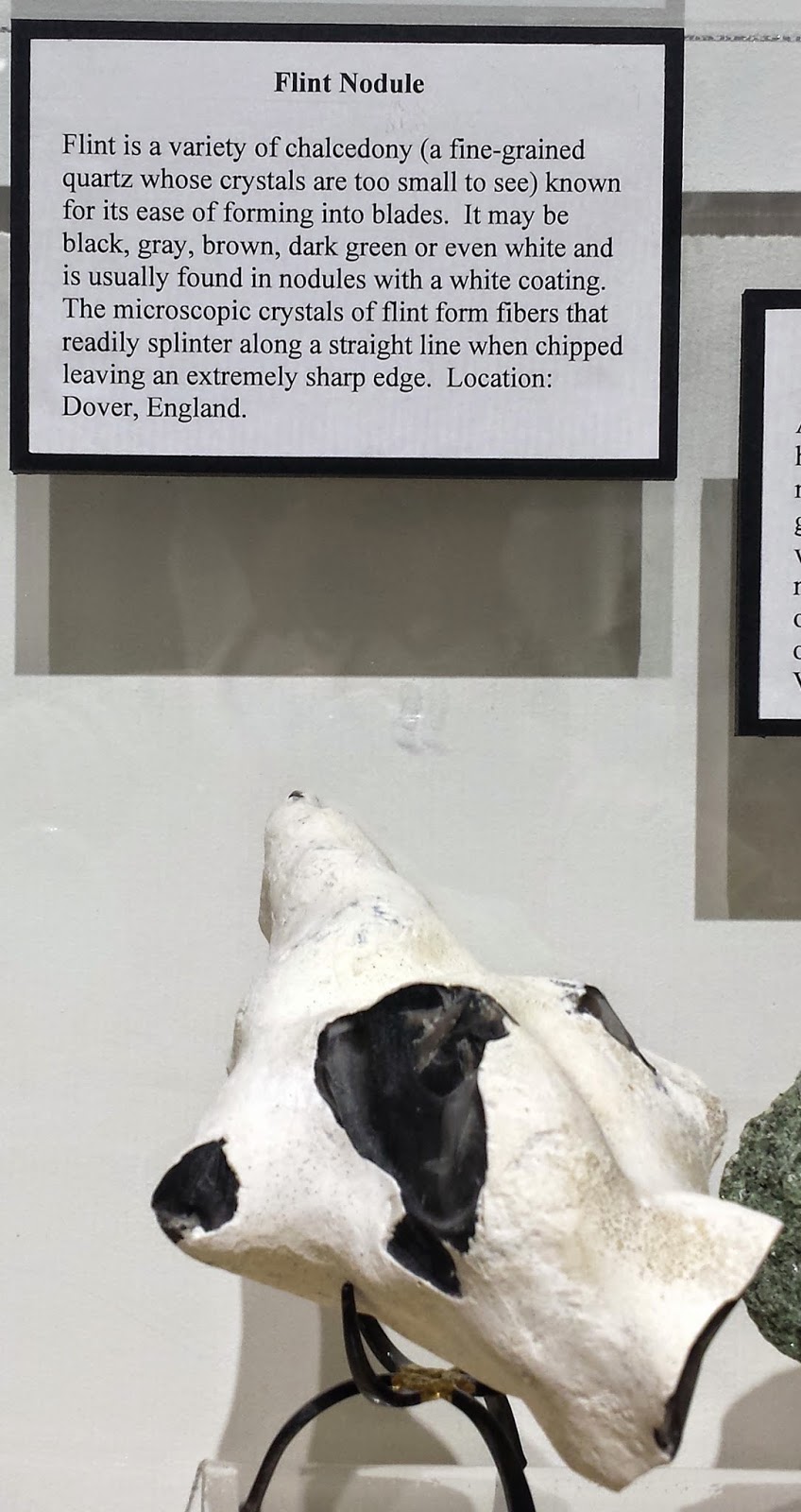 History and Culture by Bicycle: Nature's Kaleidoscope: Digging into the ...