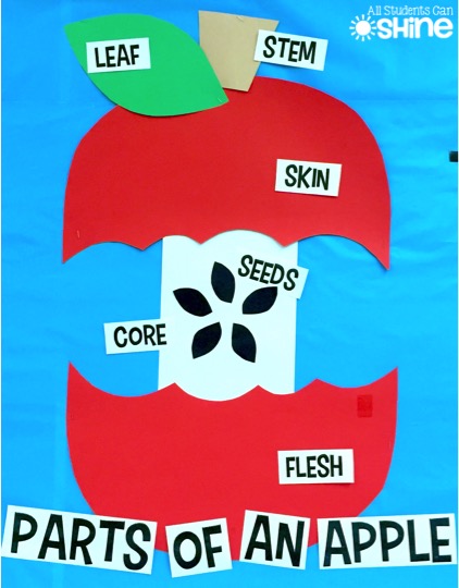 Apple Week - All Students Can Shine