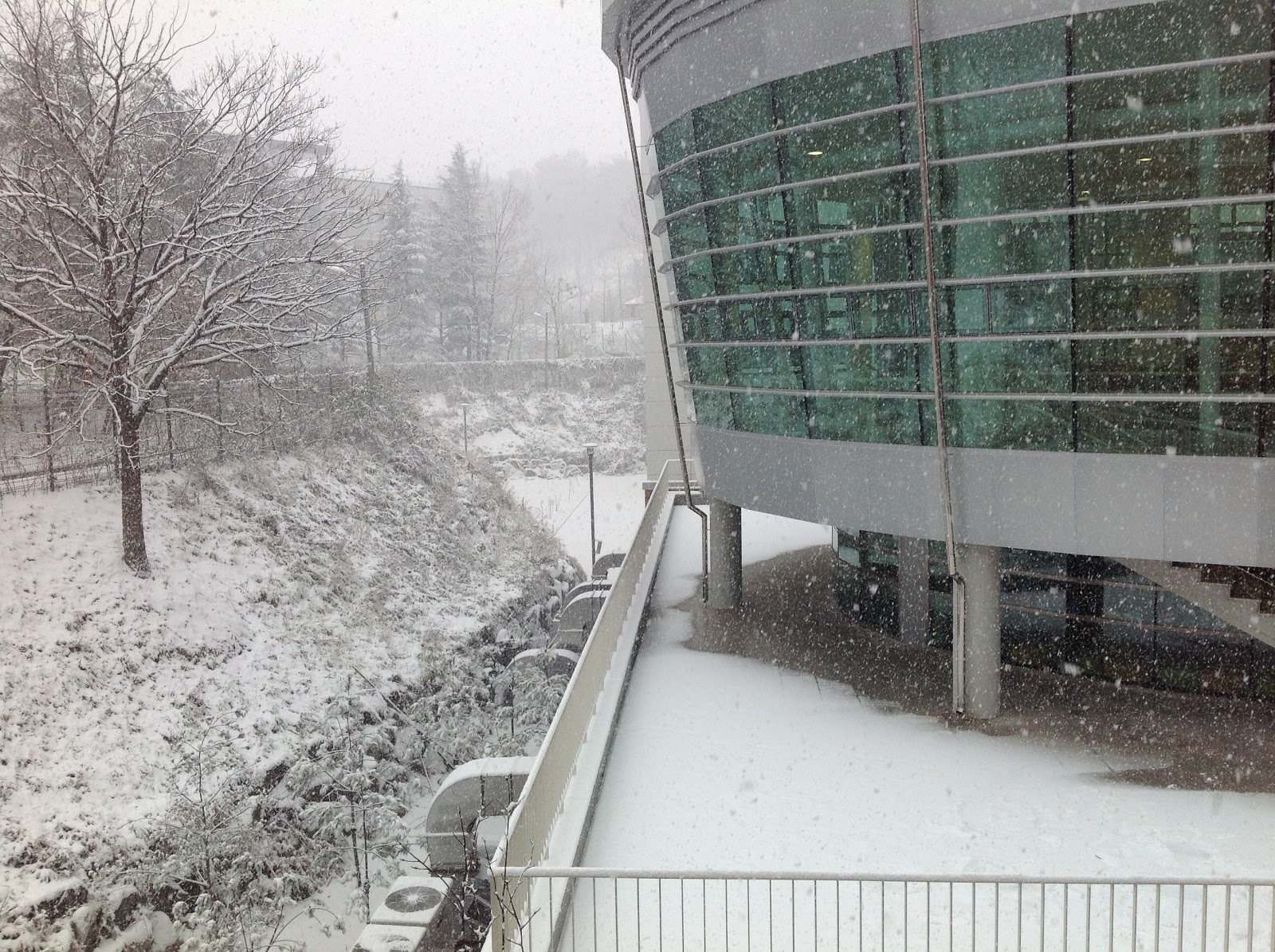 Doublecross in Daegu: Winter in Daegu