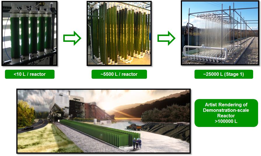 Algae Production Using LEDs at the University of Kentucky – Hort Americas