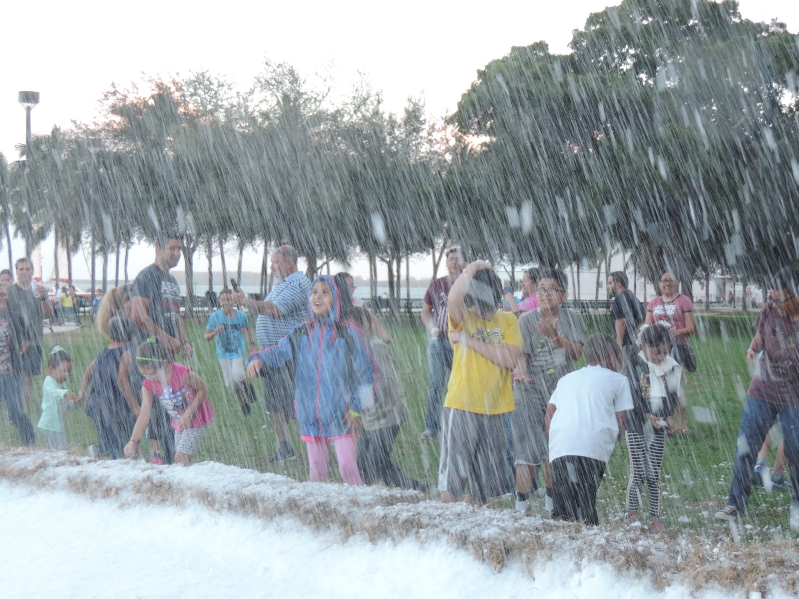 Bonao Internacional: CURIOSIDAD : ESTUVO " NEVANDO " EN MIAMI , PARA ...