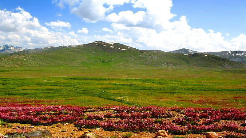 First Deosai Plains Festival promoting “soft” tourism in Pakistan