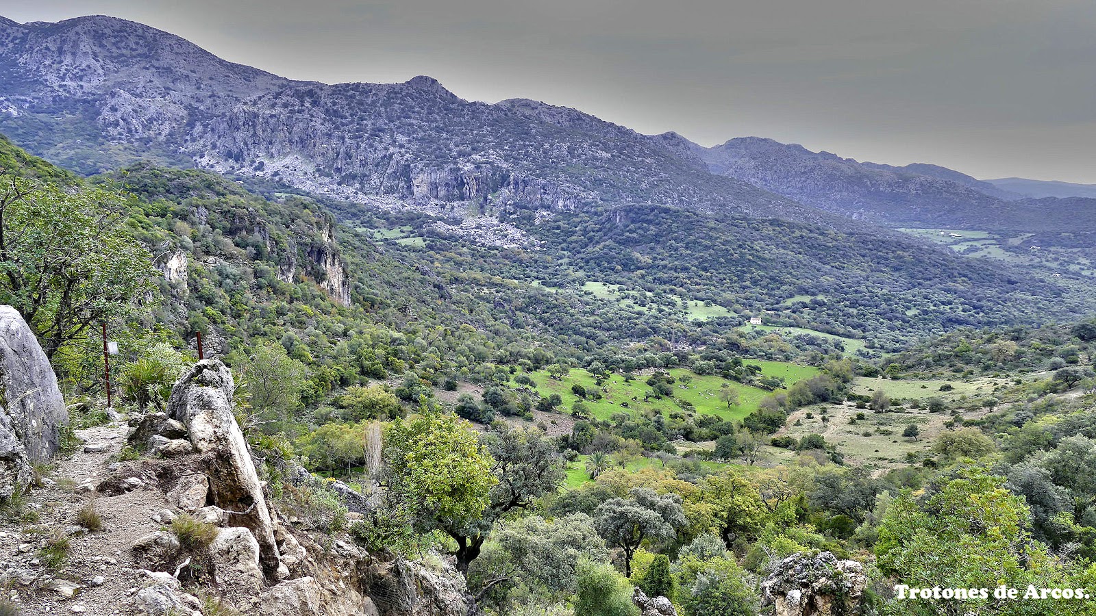 TROTONES BLOG: Circular al Monte de las Encinas