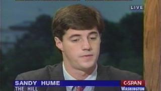 MEGACHIROTTERA: UNA SCIA DI MORTE