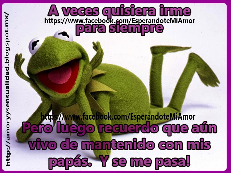 AMOR Y SENSUALIDAD: FRASES CON LA RANITA RENE