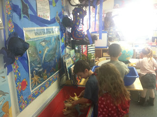 Kindergarten Kiosk: Ocean Thematic Unit