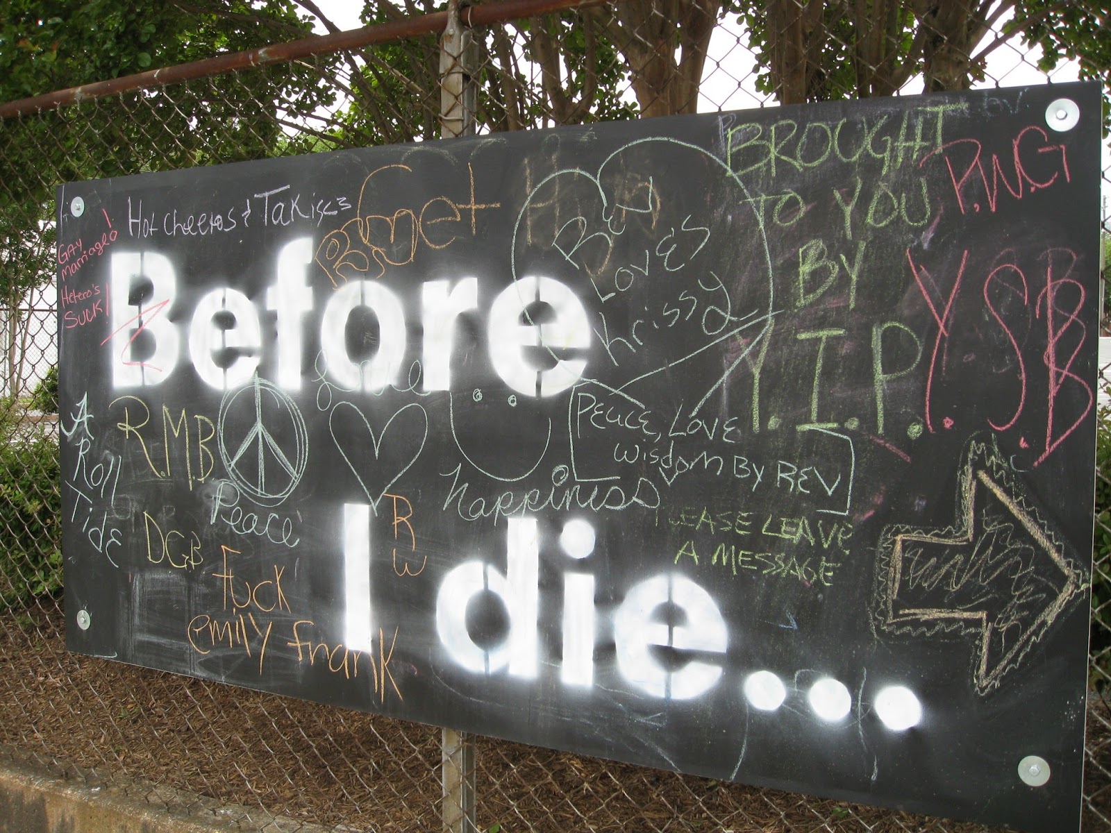 Bonz Blogz: Before I die: Chalkboard