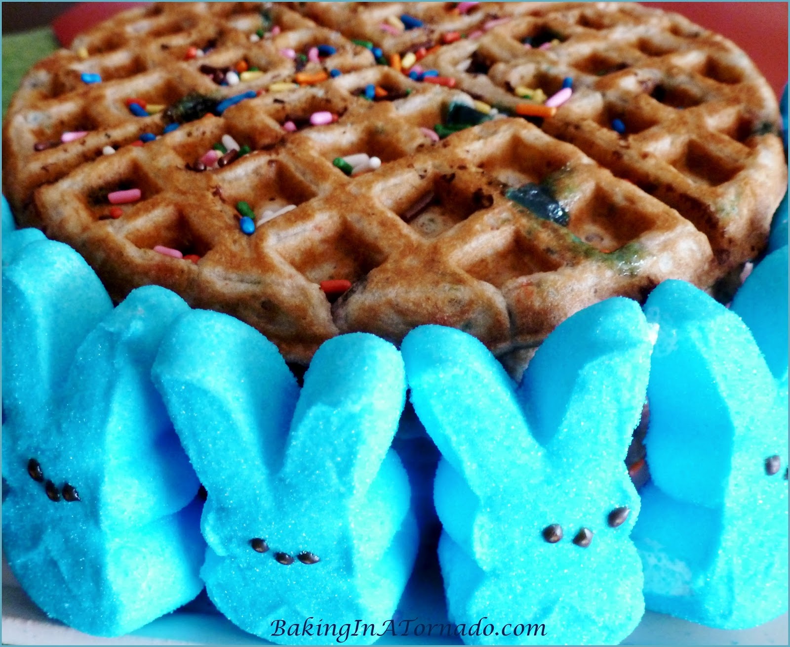 Baking in a Tornado: Springtime Waffles: Starting Fresh, Blog With Friends