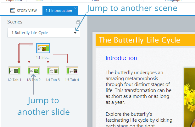 Using Slide View ~ Storyline
