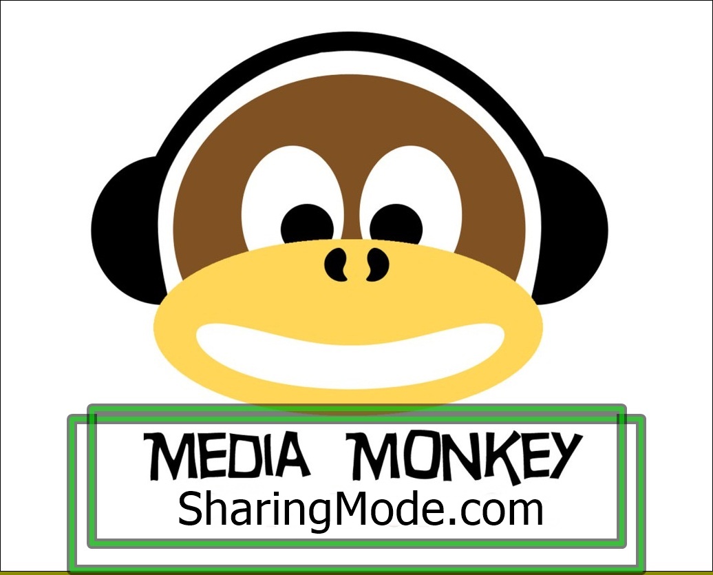 MediaMonkey 4.1.10.1778 | Sharing Mode