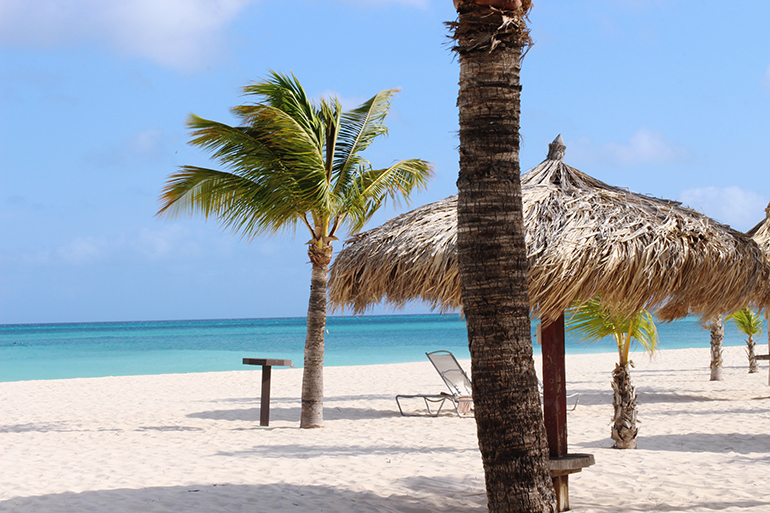 Becky Bedbug: Five Reasons to Visit Aruba
