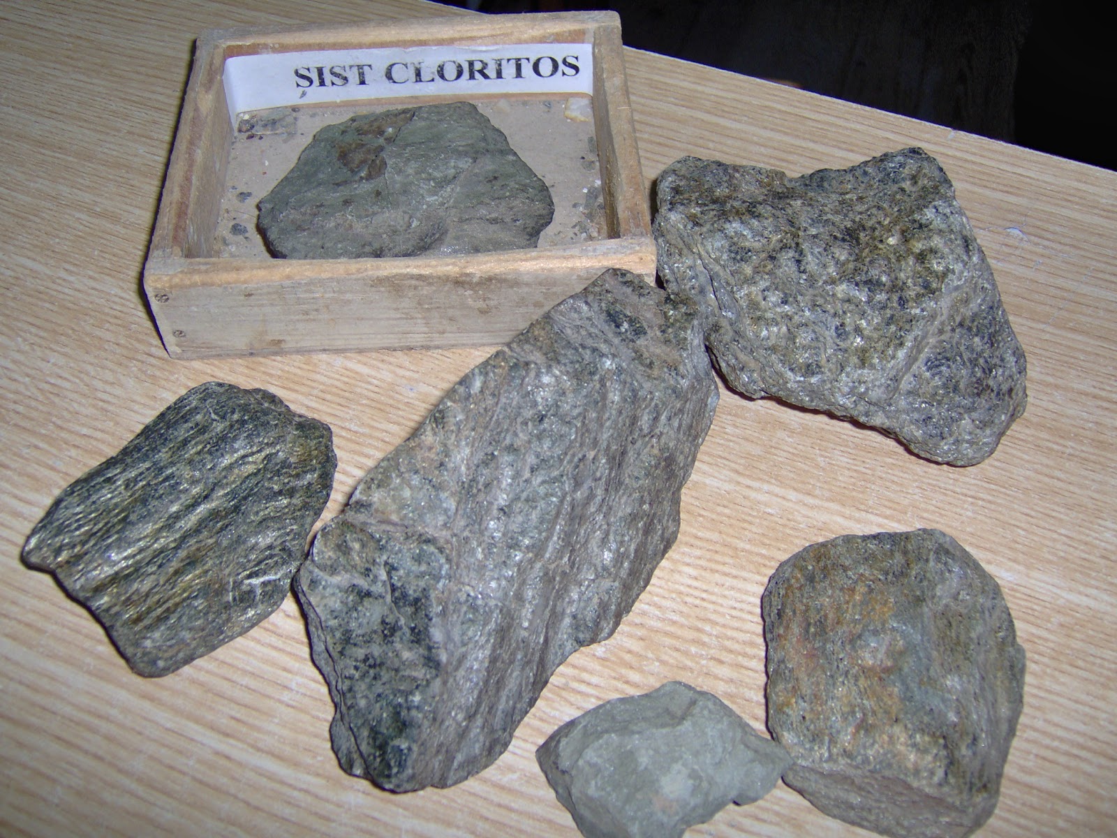 Silvicultura Brasov: Poze geologie ( roci )