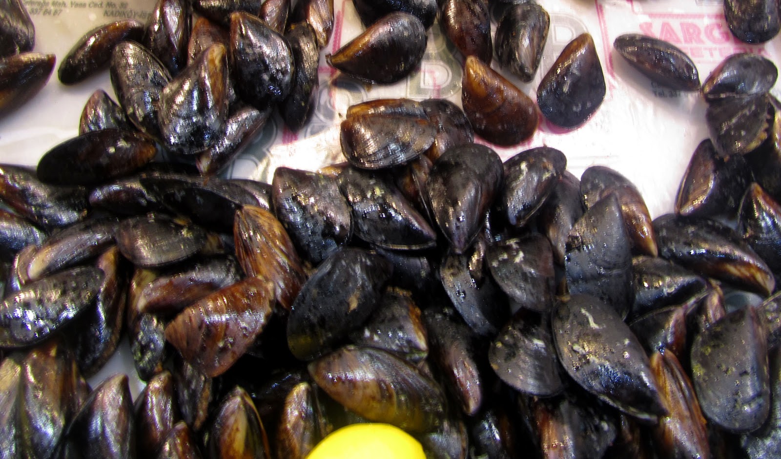 THE TASTE OF ISTANBUL: Midye Dolma