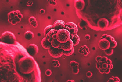 Diseminacion De Agentes Infecciosos ~ Rincon Medico