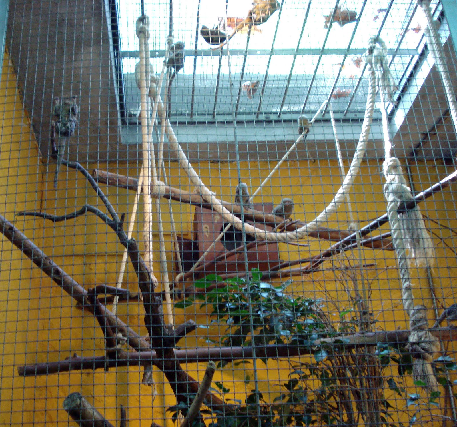 Voglio il mondo a colori: Barcellona, lo Zoo