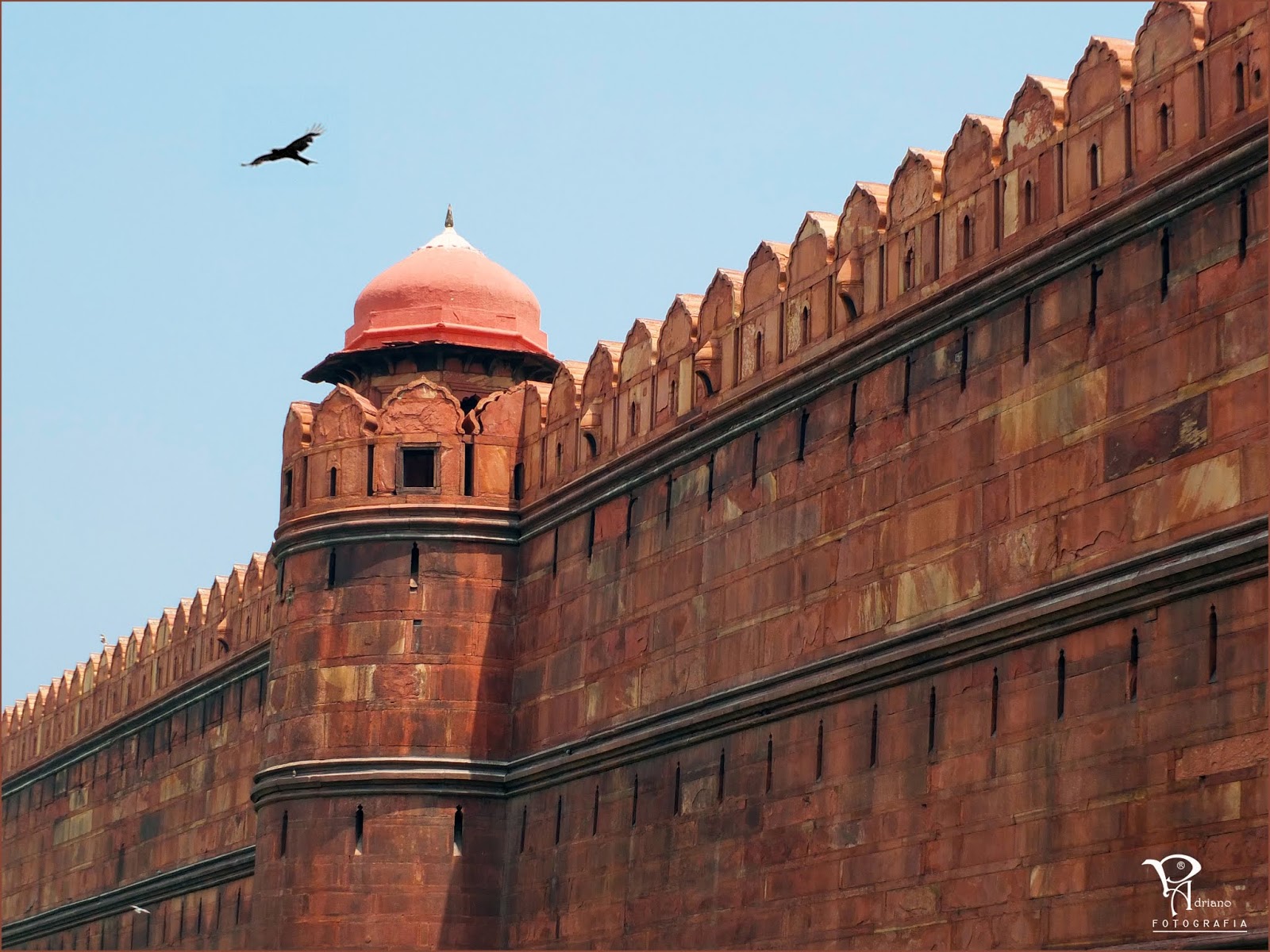 Paulo Adriano Baptista: RED FORTE II - NEW DELHI - ÍNDIA