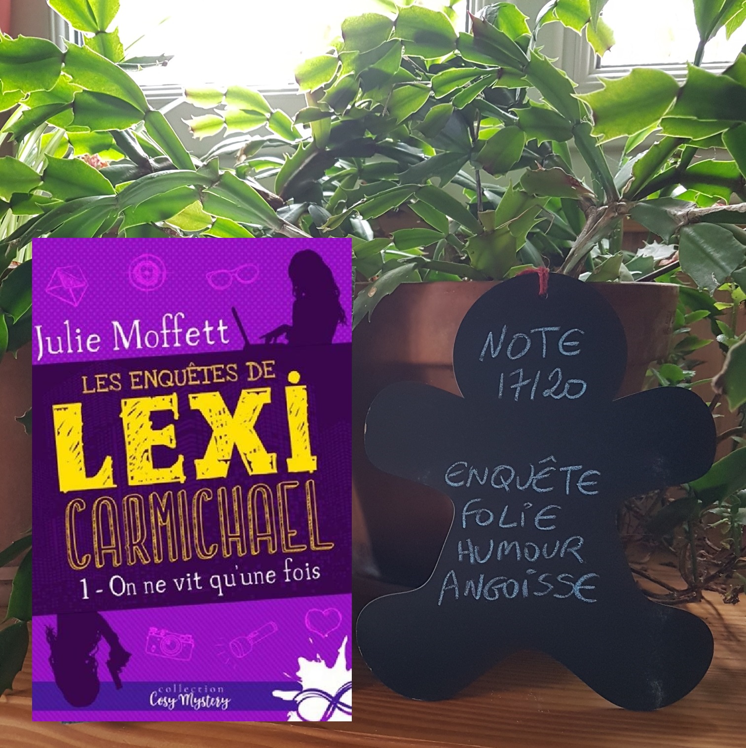 Les lectures de Mylène: Les enquêtes de Lexi Carmichael, tome 1 : On ne ...
