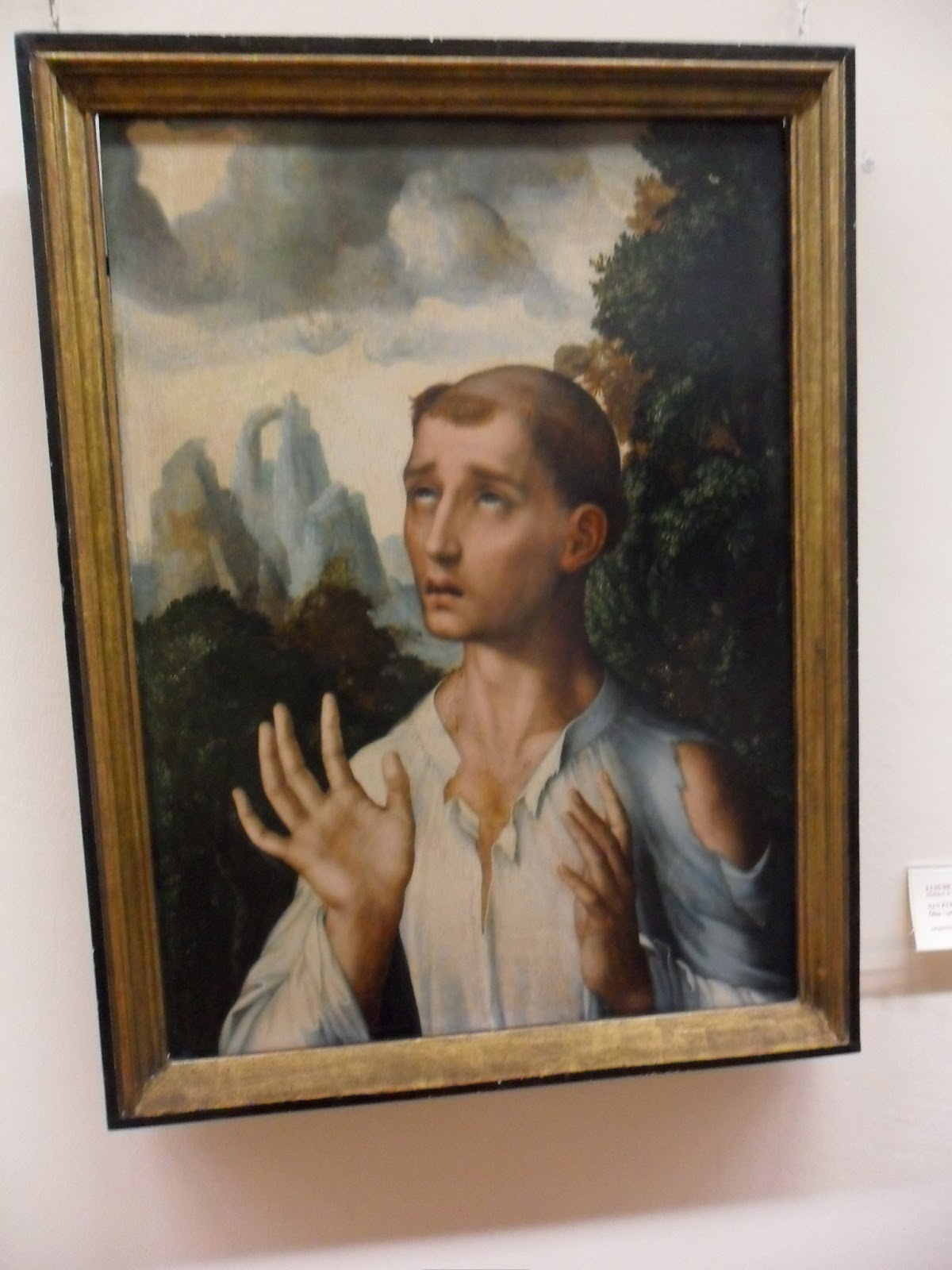 TUTTIFRUTTI: LUIS de MORALES