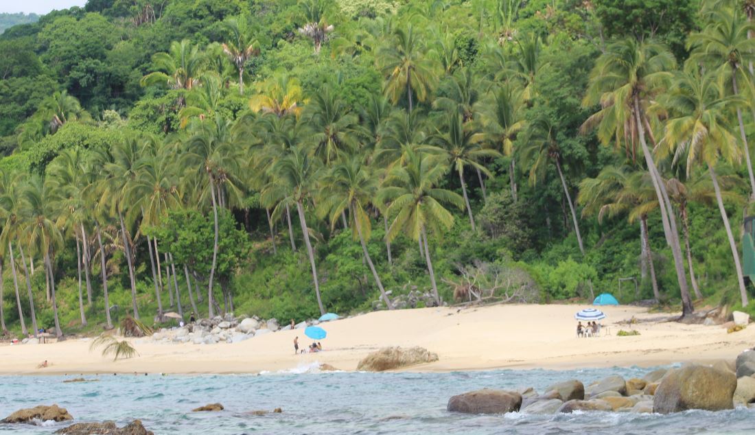 Puerto Vallarta: 6 playas que te van a encantar en Puerto Vallarta