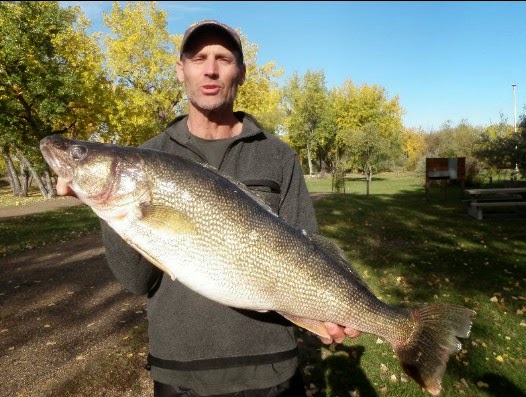 International Fishing News: WORLD RECORD: caught huge walley on fly tackle