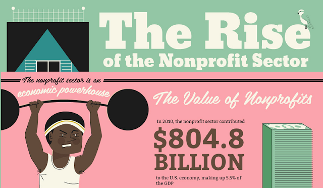Rise Of The Nonprofit Sector [Infographic] - Visualistan