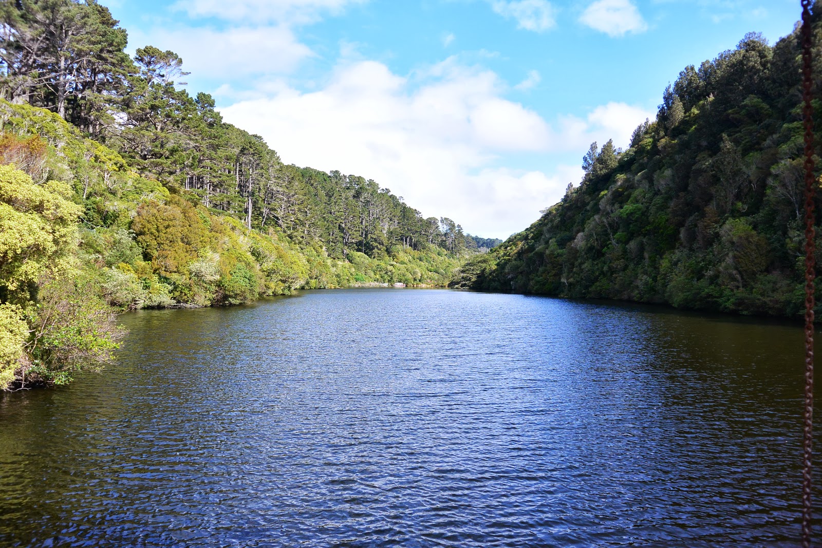 New Zealand 2013-2014: Zealandia Karori Wildlife Sanctuary
