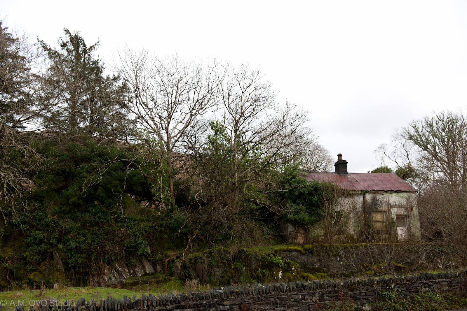 The Spotting Eye: Rural Ireland: Kilmare and Kilgarvan, Co. Kerry