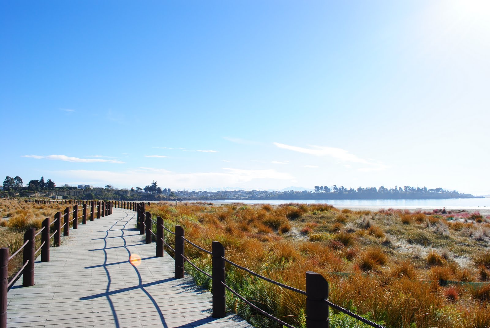 Aurora Seagull: New Zealand Photo Diary (Timaru, Christchurch, Wellington)